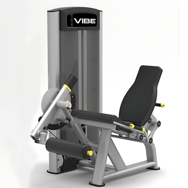 Leg Extension - Vibe Fit